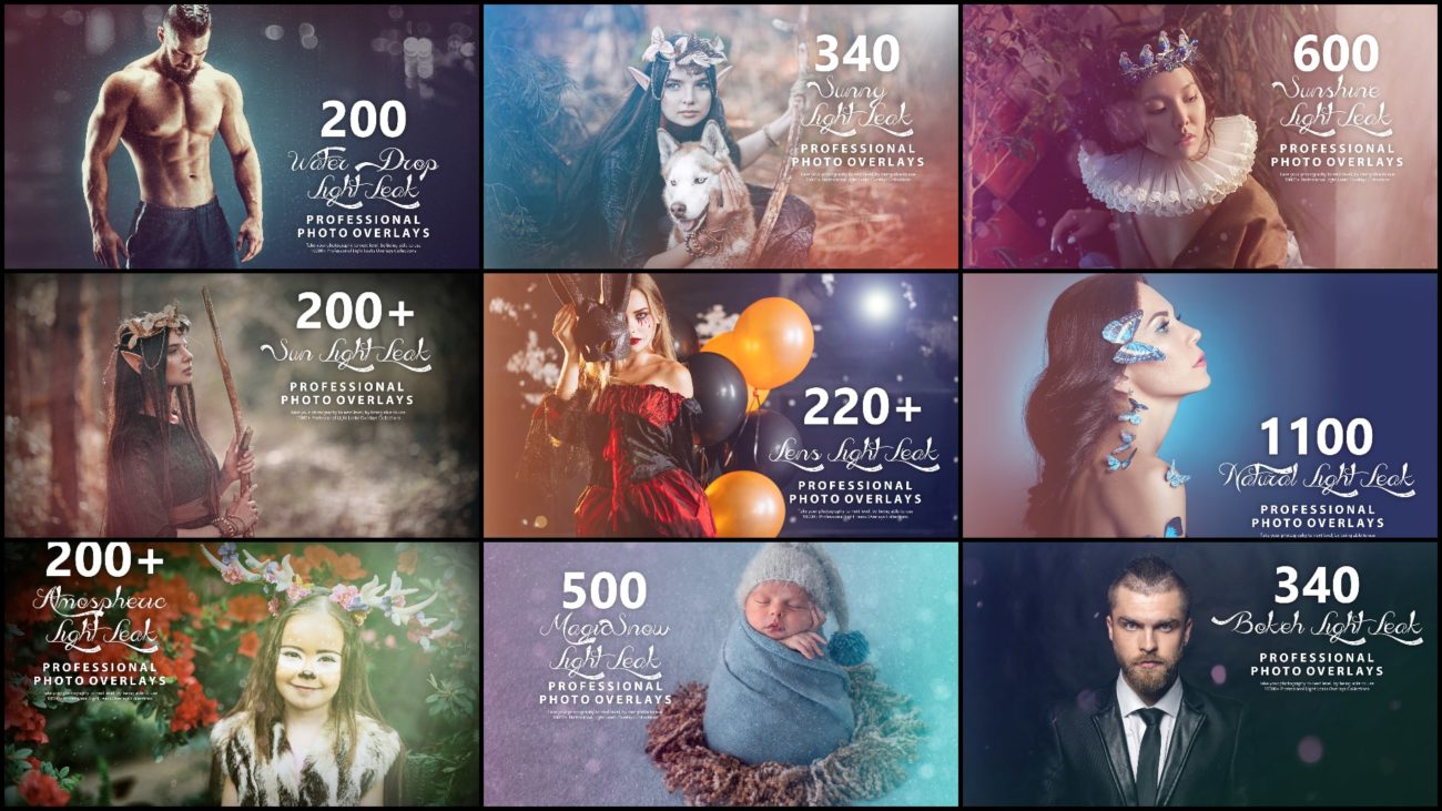 Lifetime Subscription – Eldamar Studio