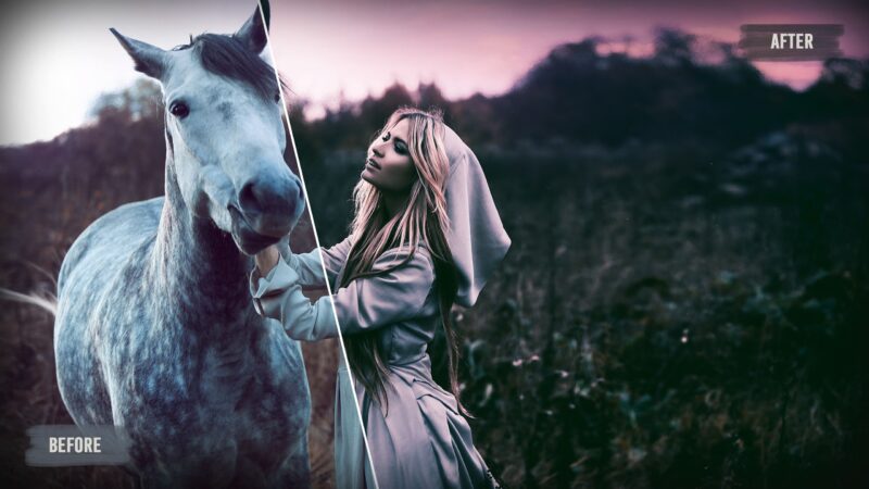 5000+ Professional LUTs Bundle – Eldamar Studio