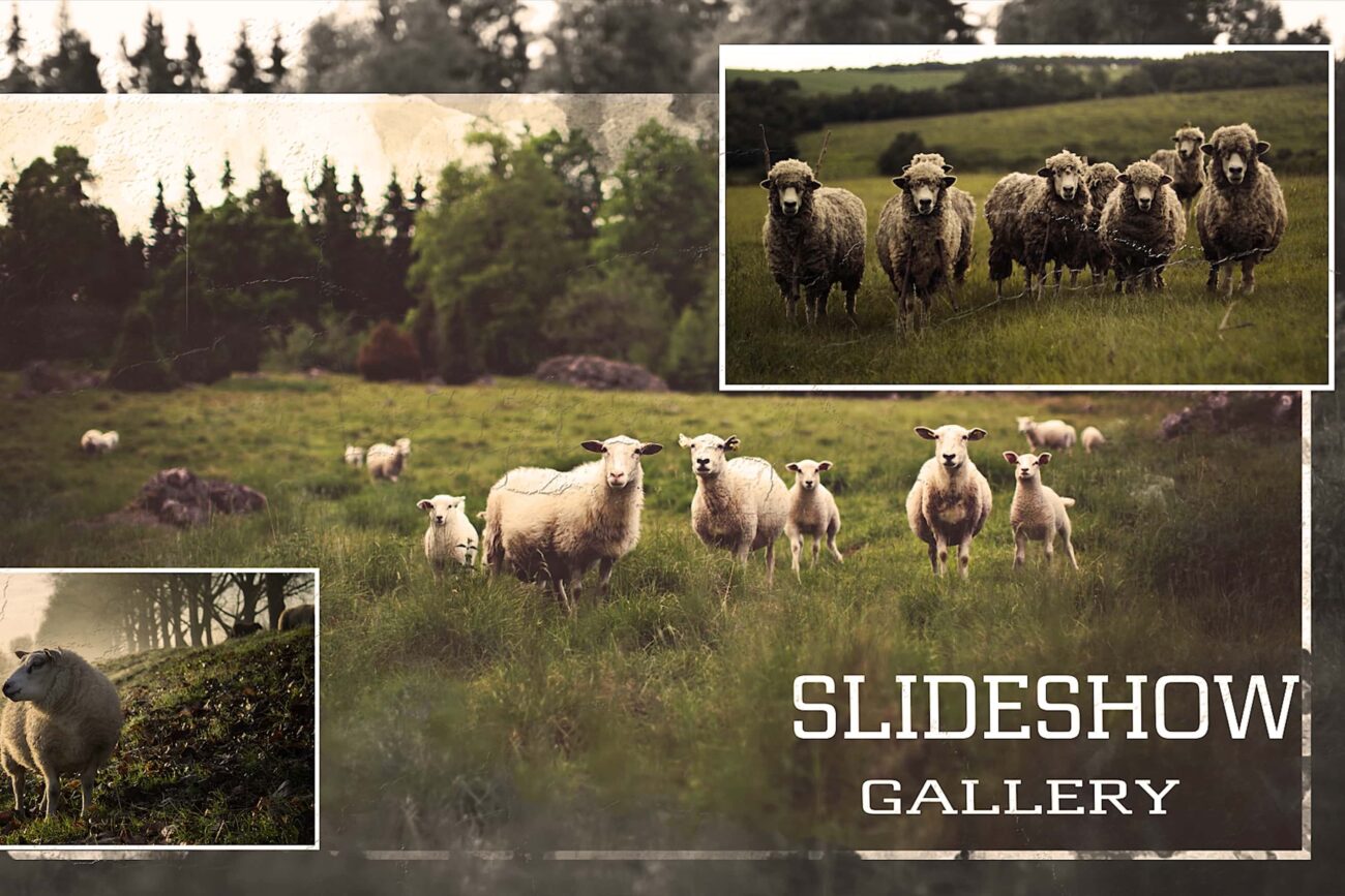 10 After Effects Slideshow Pack – Eldamar Studio