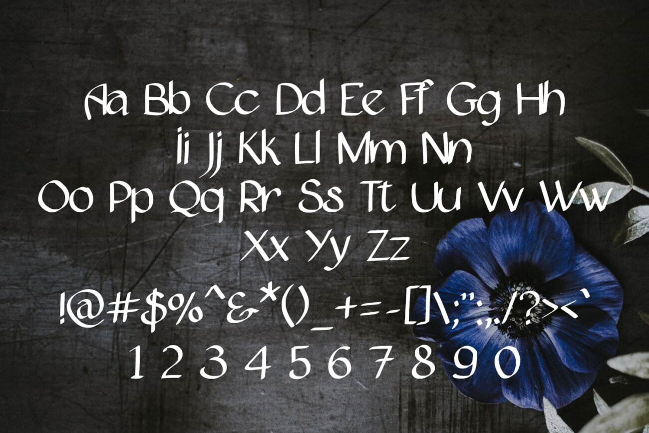 200 Unique Fonts Bundle – Eldamar Studio